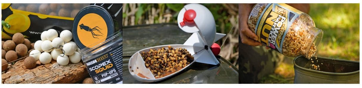 Guide complet des appâts pour pêche à la carpe Blog Chronocarpe